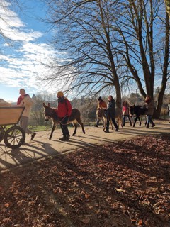 Marbehan - L'envol - enseignement spécialisé de la communauté française